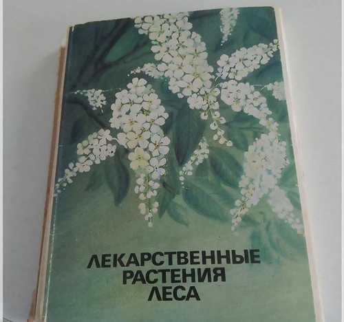 Набор открыток лекарственные растения леса.СССР