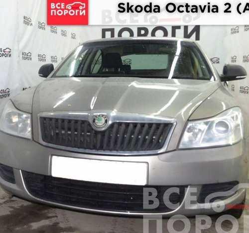 Рем пороги для Skoda Octavia II (A5)