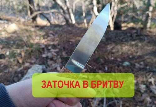 Нож охотничий под любые задачи