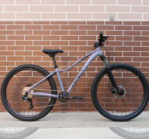 Aspect 2025 alma PRO 27.5