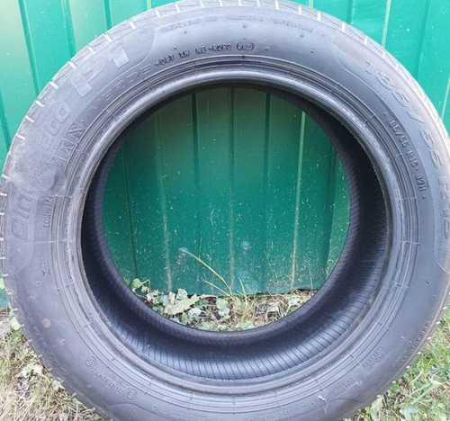 Летняя шина pirelli cinturato 185 55 r15