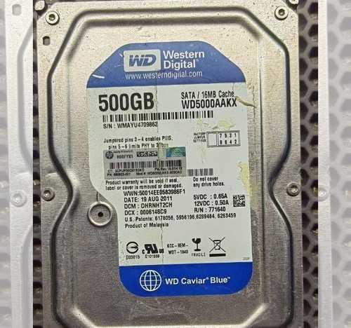 Жесткий диск wd 500gb 3.5