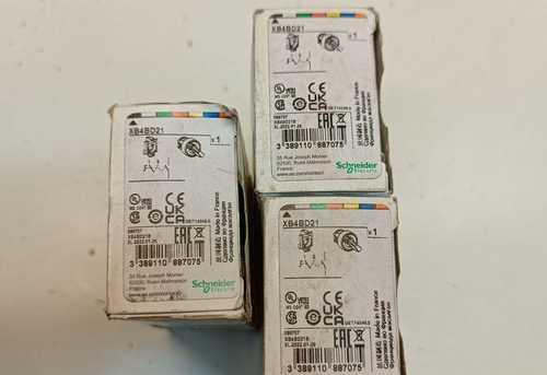 Schneider Electric XB4BD21