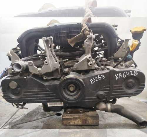 Двигатель subaru EJ253 EJ253J forester legacy outback BL9 BM9 BP9 BR9 SG9 sohc EGR vvti впуск пласти