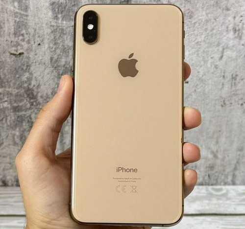 iPhone Xs Max, 512 ГБ