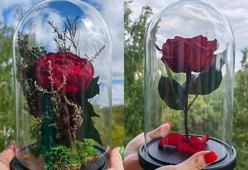 Живые розы пионы букеты в колбе, вазе, арт137, от