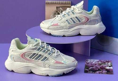 Кроссовки Adidas ozmillen plus