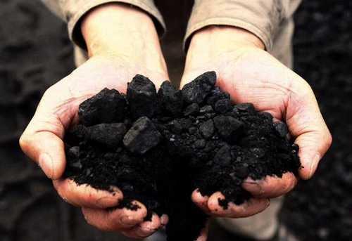 Уголь доставка день в день