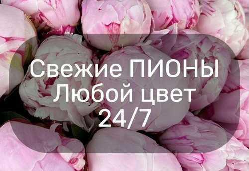 Пионы, цветы, Розы Москва 25 пионов