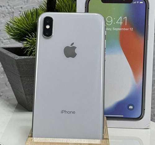 iPhone X, 256 ГБ