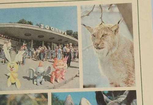 Набор открыток киевского зоопарка