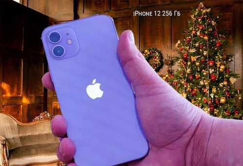 iPhone 12, 256 ГБ
