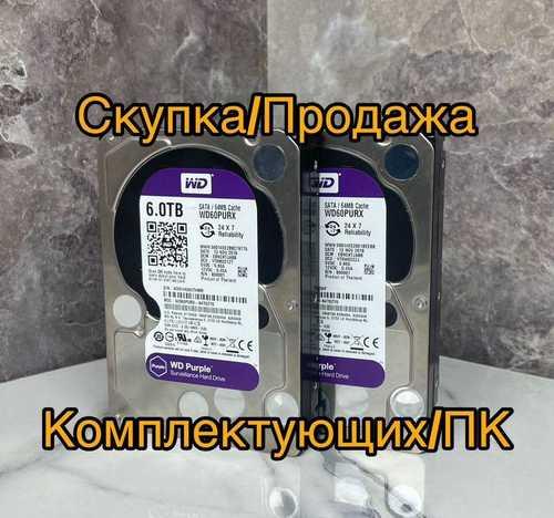 Жесткий диск Western Digital Purple 6tb + Скупка