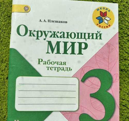 Рабочая тетрадь 3 класс окружающий мир