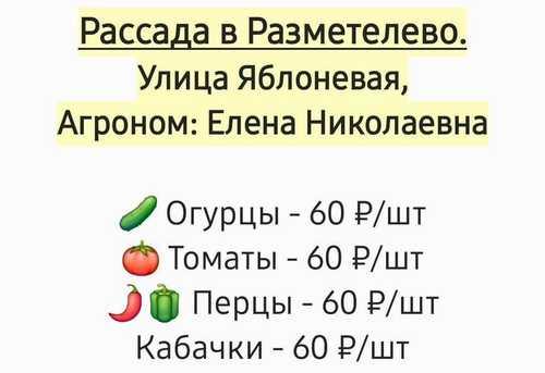 Рассада овощных культур