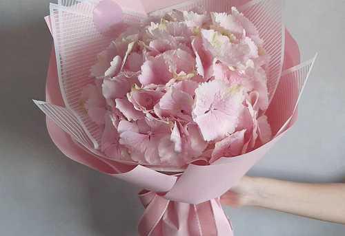 Гортензии. Свежие Гортензии с Доставкой