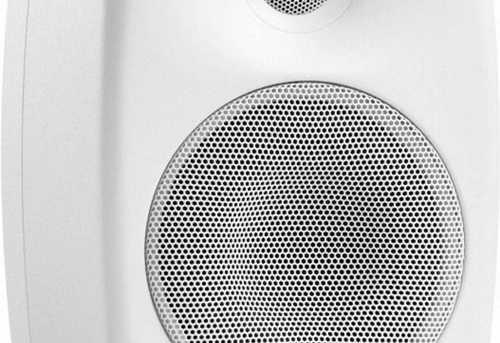 Genelec 8020DWM