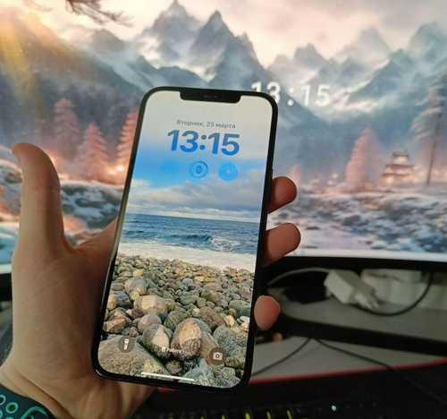 iPhone 12 Pro Max, 256 ГБ