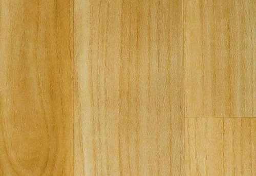 Sportline Standart Wood FR 07601 - 4.3