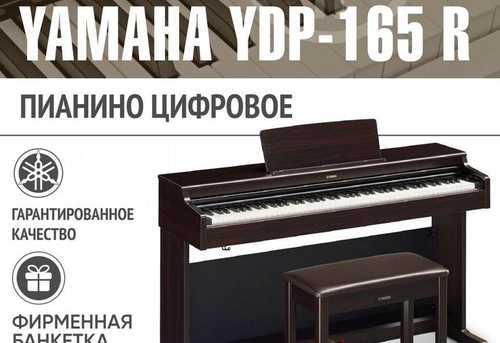 Yamaha YDP 165 R + Банкетка. Новое, Гарантия