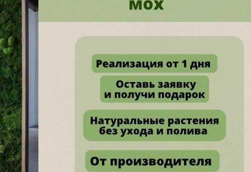 Стабилизированный мох