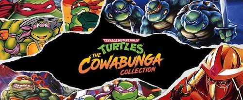 Teenage Mutant Ninja Turtles: Cowabunga PS4/PS5