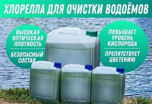 Живая водоросль суспензия