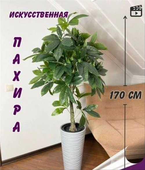 Пахира необычное искусственное дерево
