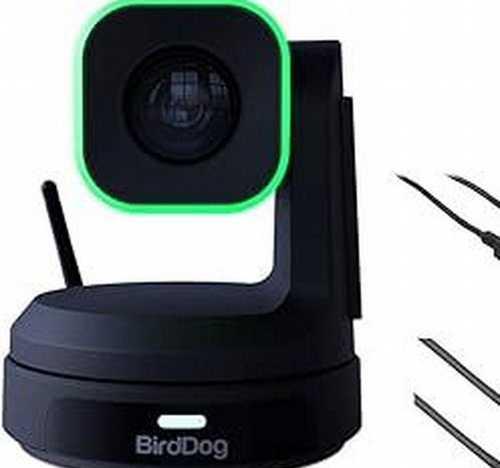 PTZ-камера BirdDog X1 Full HD NDI HX3 с 20-кратным