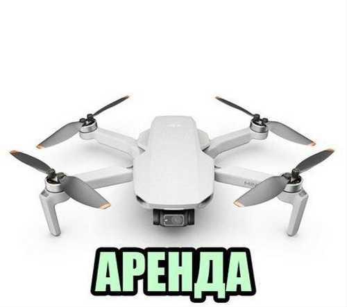 Аренда DJI mini 2 квадрокоптер