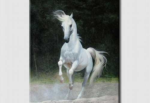 Картина маслом на холсте "Белая лошадь"