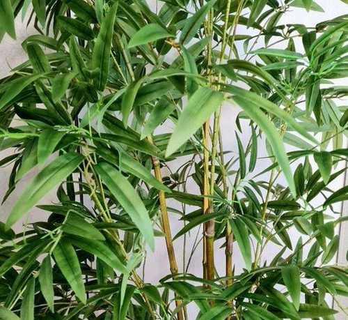 Бамбук, искусственное дерево