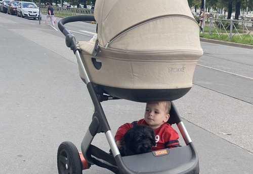 Коляска stokke trailz 2 в 1