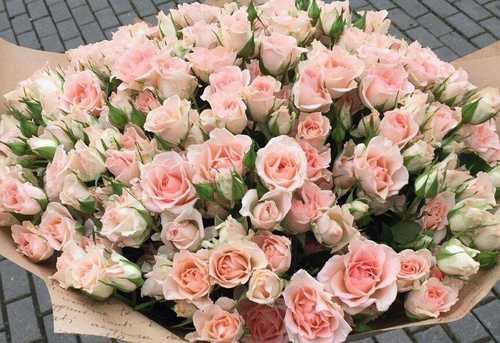 Цветы Букеты Доставка Розы 51 101 25 45