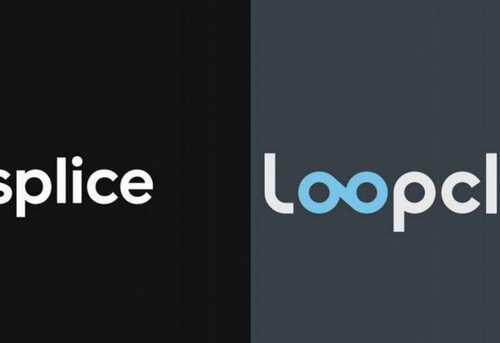 Loopcloud & Splice оплата звуки и плагины софт