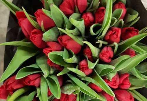 Тюльпаны красные на 14 февраля