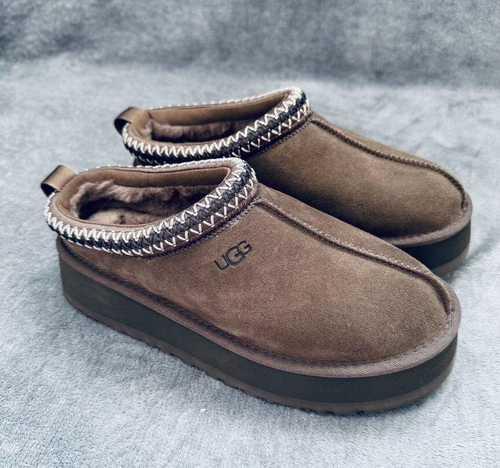 Ugg tazz chocolate угги женские tasman
