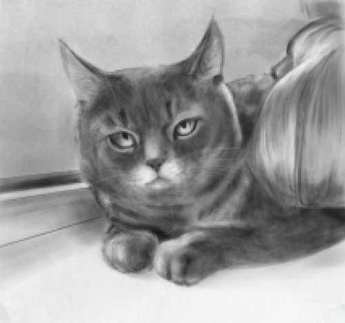 Рисунок кота