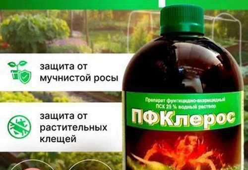 Пфклерос