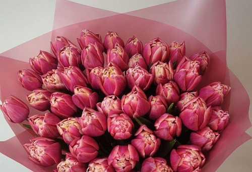 Тюльпаны счастья 51 нежный тюльпан для любимой