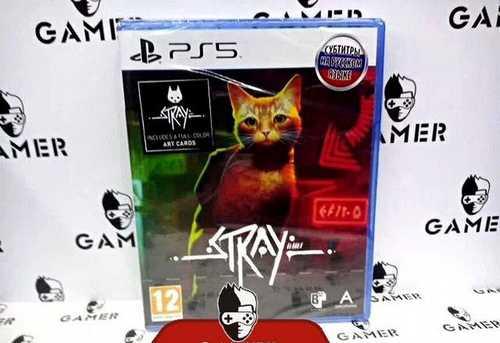 Stray PS5