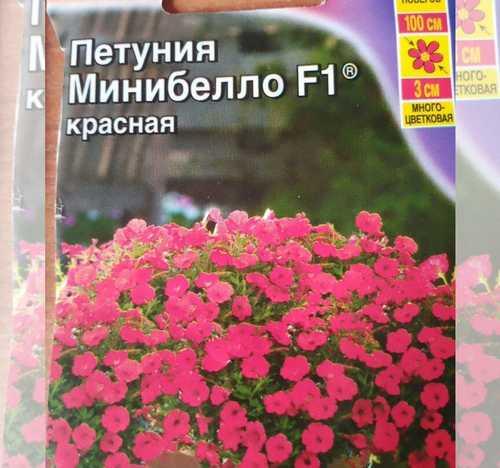 Рассада петунии Минибелло