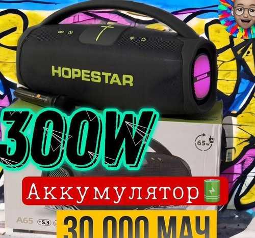 Портативная колонка 300 ватт