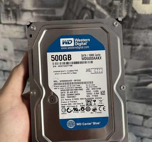 Жёсткий диск WD Blue 500GB 7200RPM