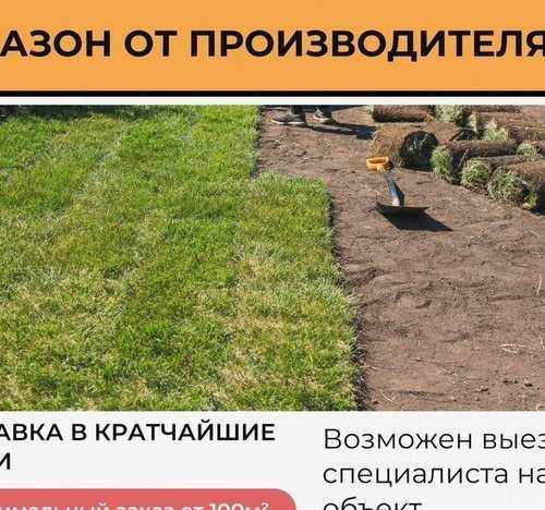 Продажа рулонного газона под ключ