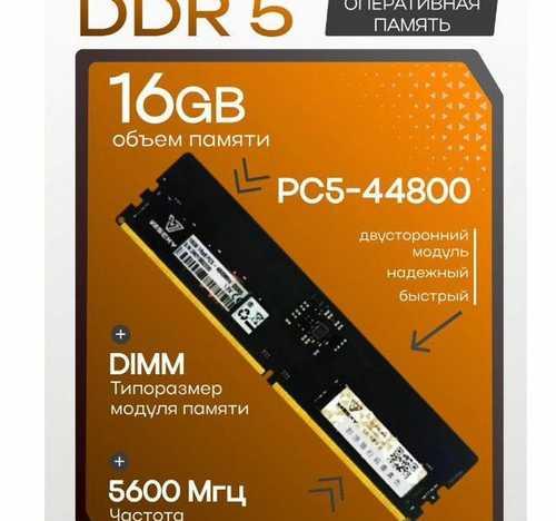 Оперативная память vaseky DDR5 16GB 5600MHz PC5-44