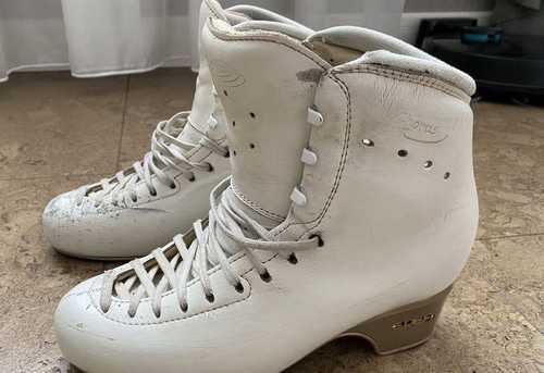 Ботинки Edea chorus 255