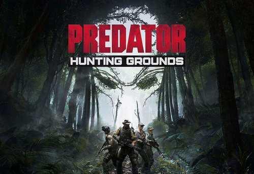 Predator: Hunting Grounds на PS4 и PS5