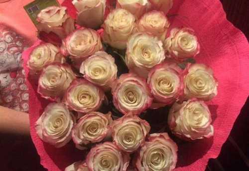 Цветы с оформлением 25, 51, 101 розы Эквадор СПб