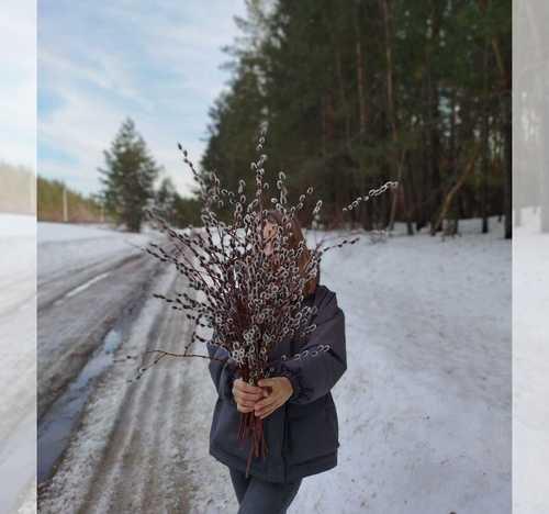 Верба букет (живая)